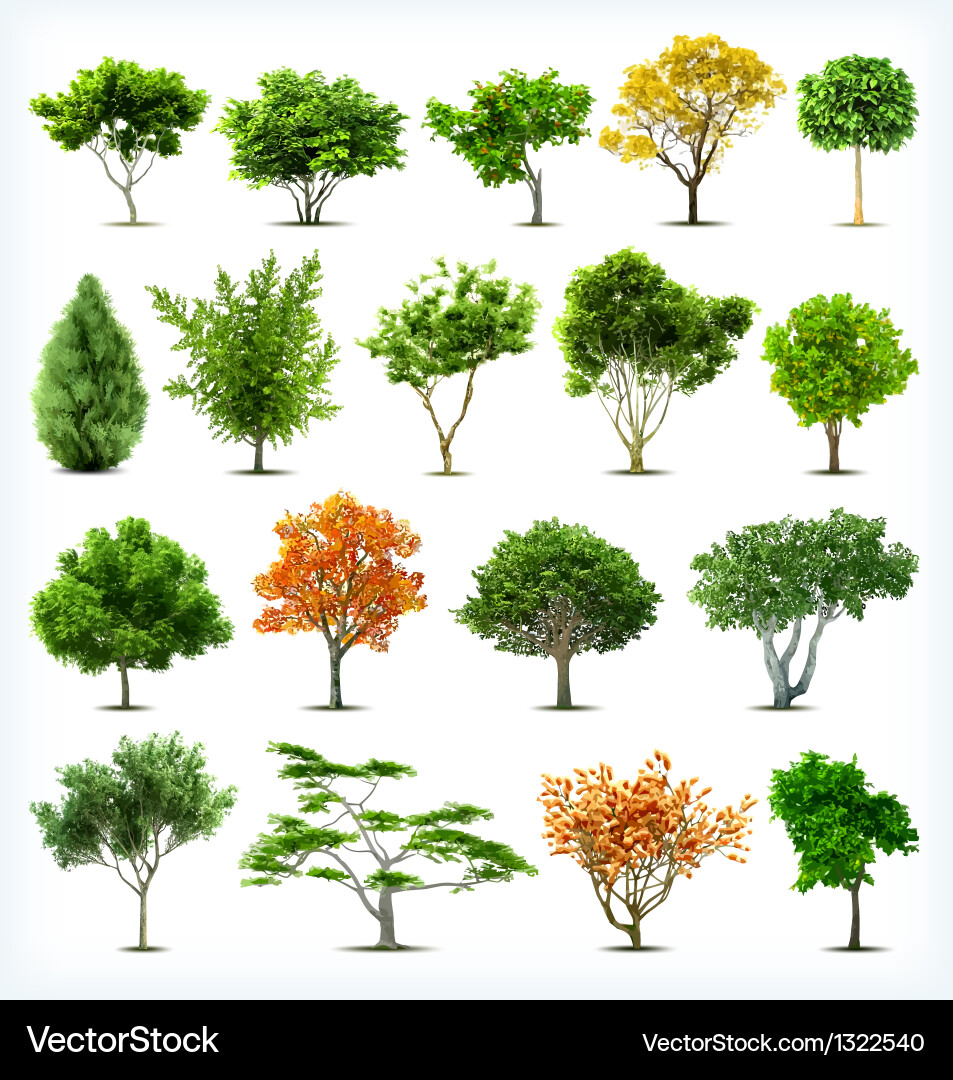 Set of trees isolated Royalty Free Vector Image
