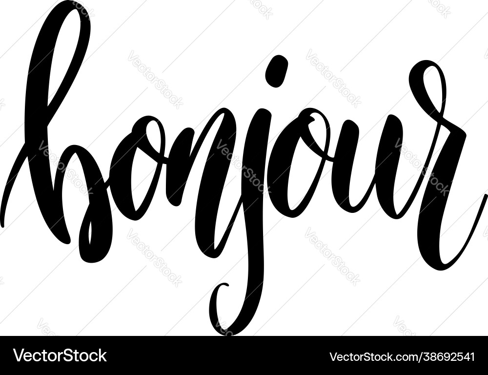 Bonjour lettering phrase on white background Vector Image