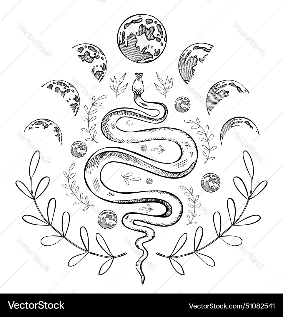 Snake and magic symbols Royalty Free Vector Image