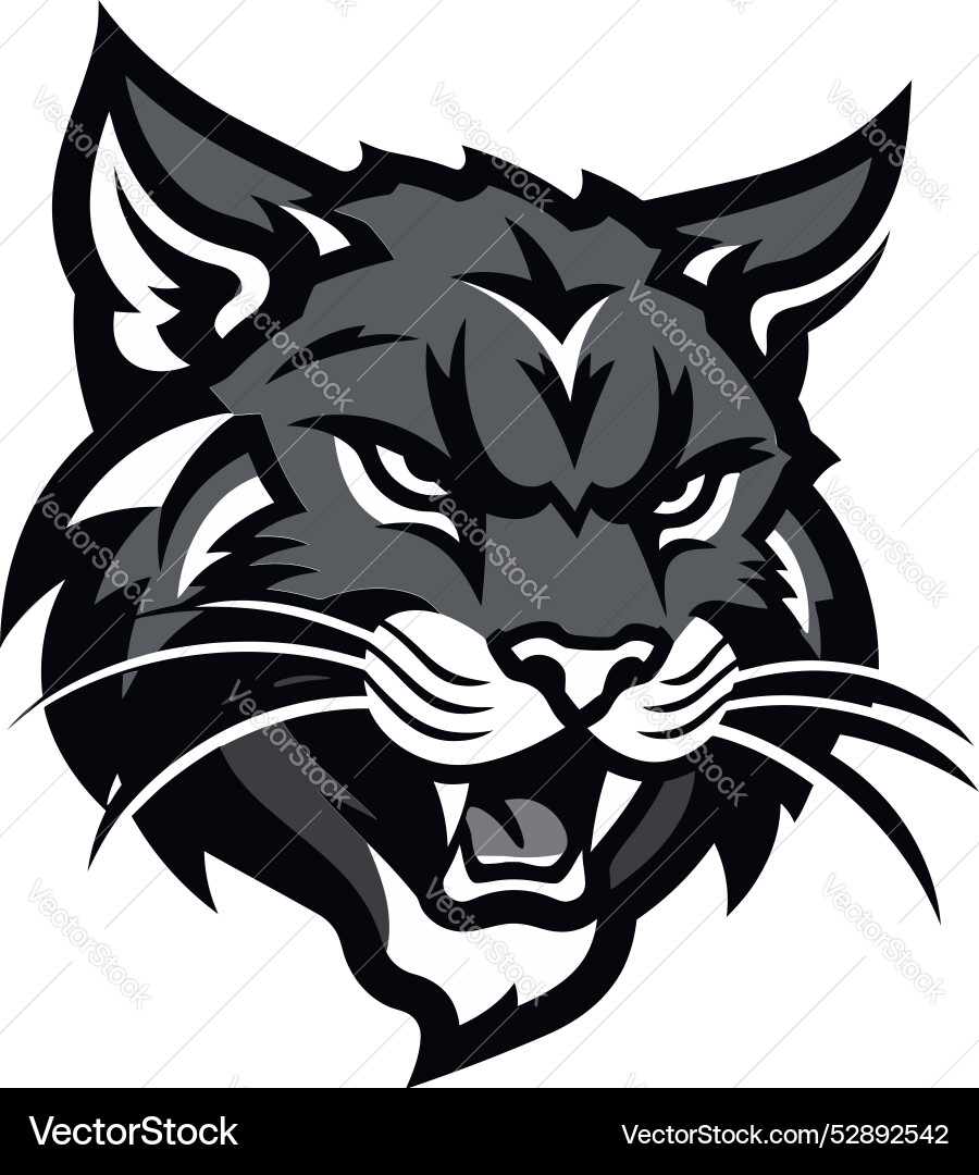 Bobcat a wild predator animal bobcat design a Vector Image