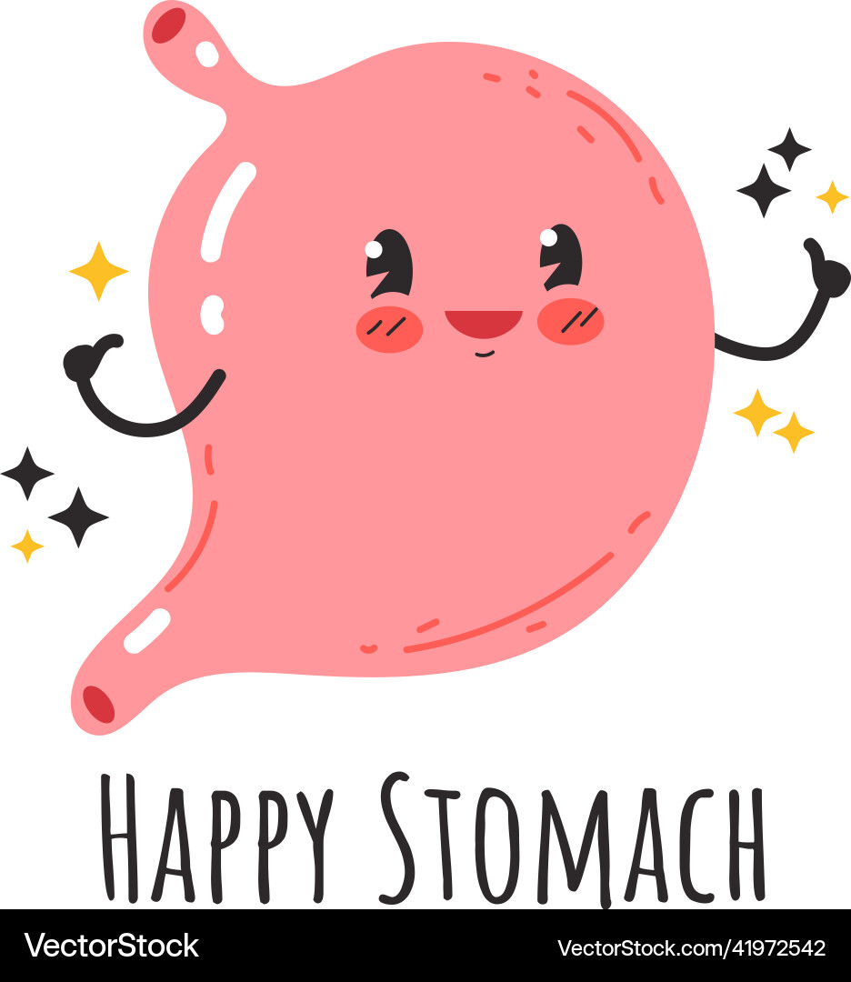 Happy healthy smiling stomach character Royalty Free Vector