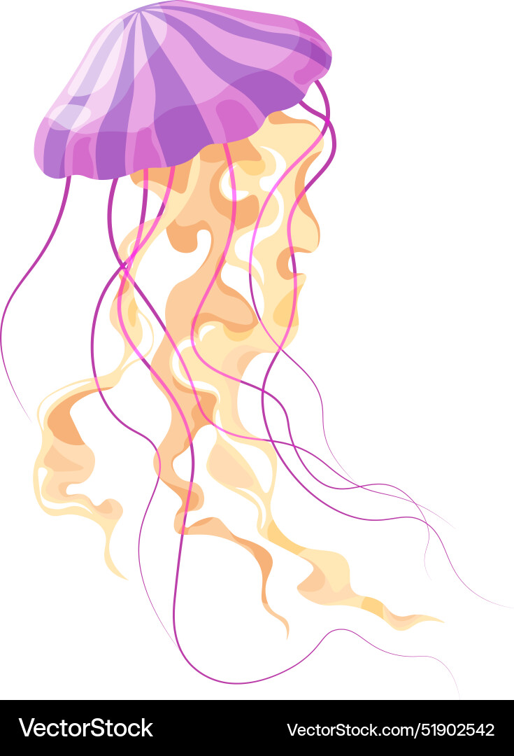 Purple yellow jellyfish Royalty Free Vector Image