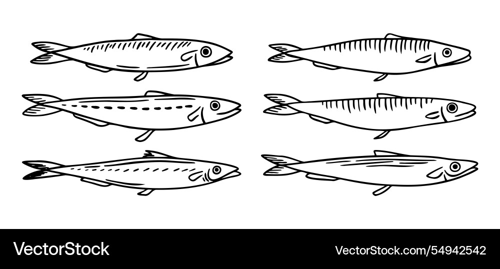 Sea fish sprat herring mackerel little Royalty Free Vector
