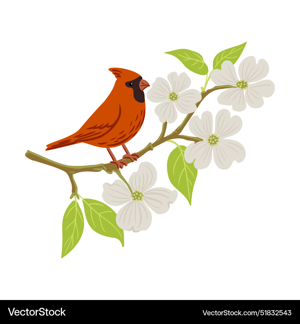 Red Cardinal Bird Head In Cartoon Stock Vector Bird Cardinal Cartoon