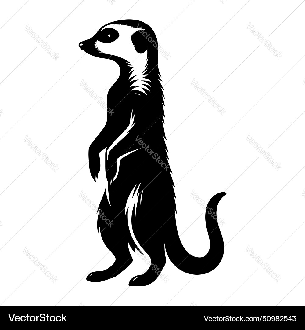 Meerkat silhouette icon symbol Royalty Free Vector Image