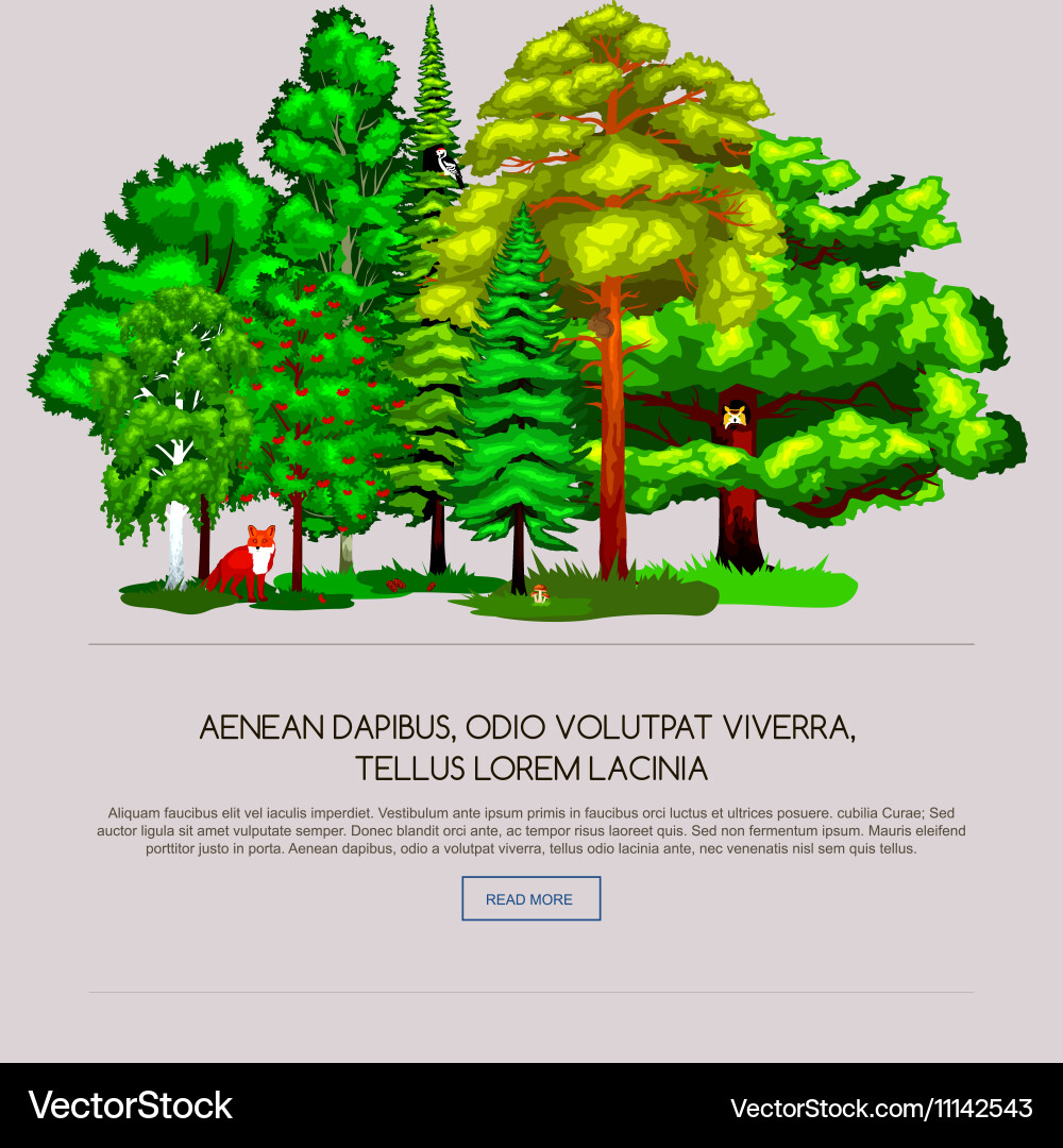 Nature landscape design elements isolated Vector Image