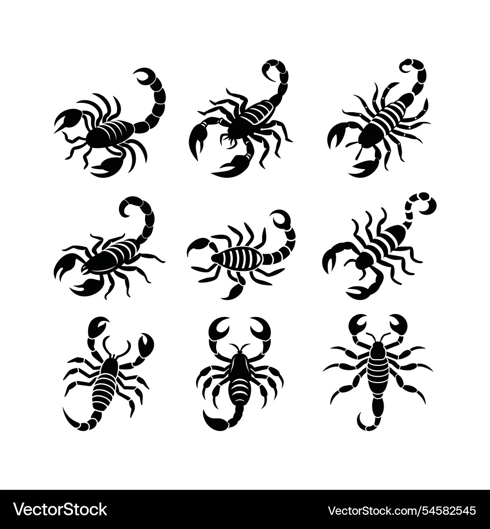 Red Scorpion Vector Images (over 810)