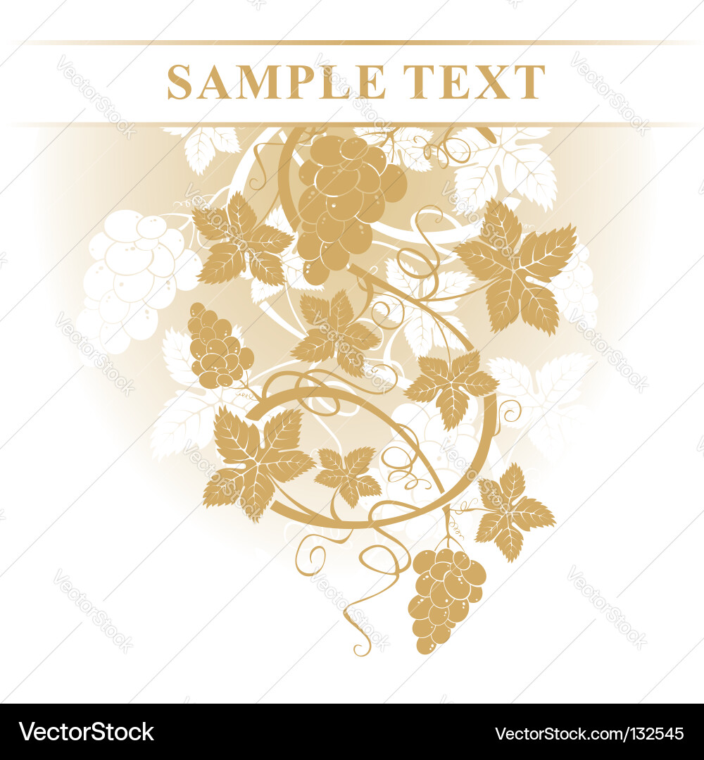 Grape design elements Royalty Free Vector Image