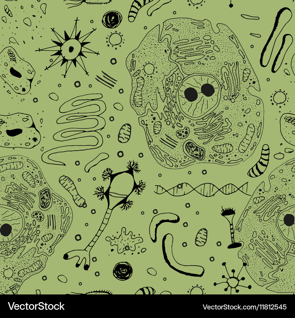 Handdrawn cell pattern Royalty Free Vector Image