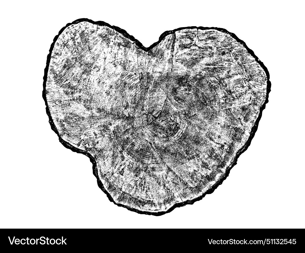Wood texture cross section of tree rings Vector Image