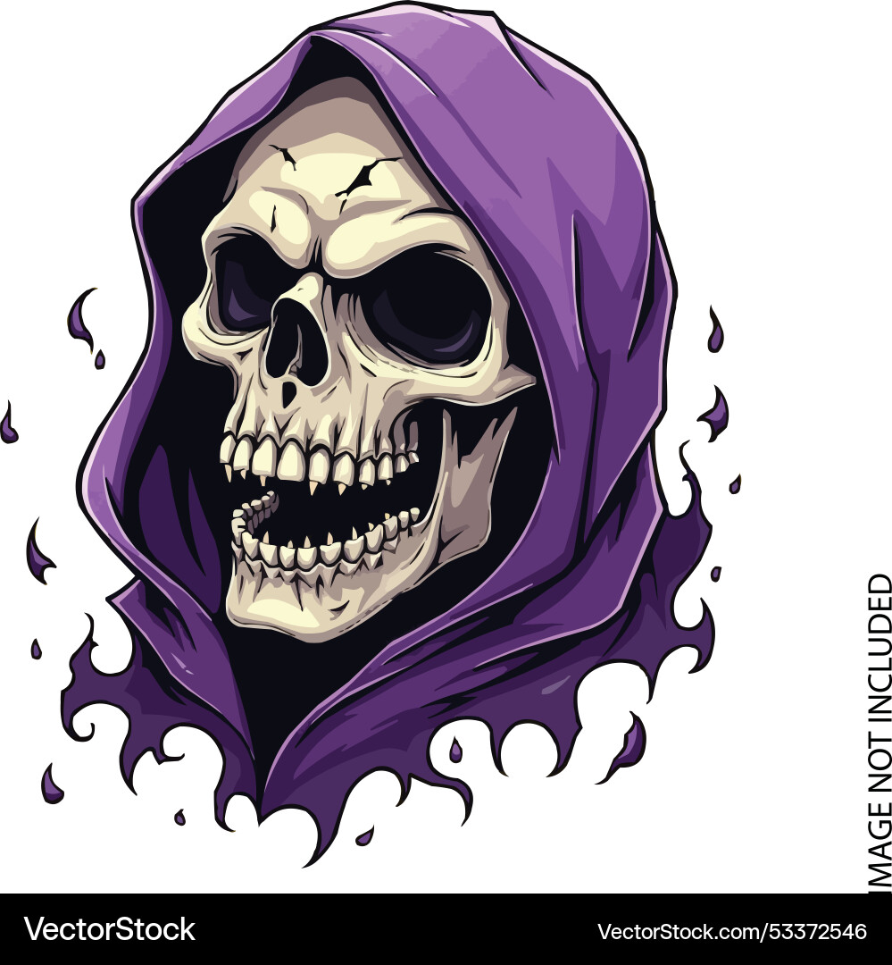 Grim reaper skull artwork Royalty Free Vector Image