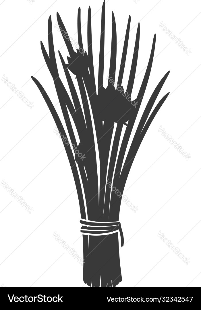 Chives silhouette icon Royalty Free Vector Image