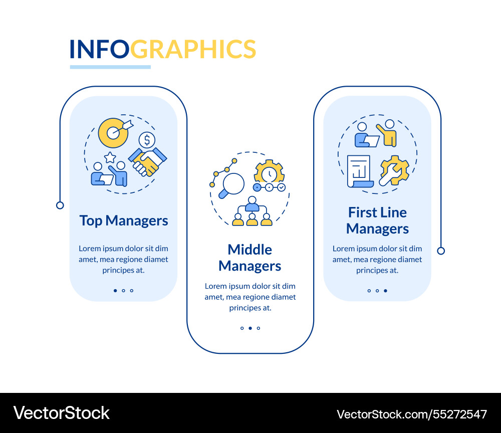 Levels of management rectangle infographic Vector Image