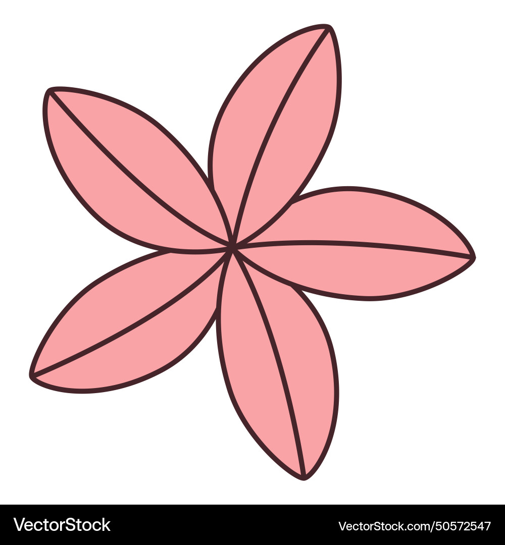 Pink flower floral design element Royalty Free Vector Image