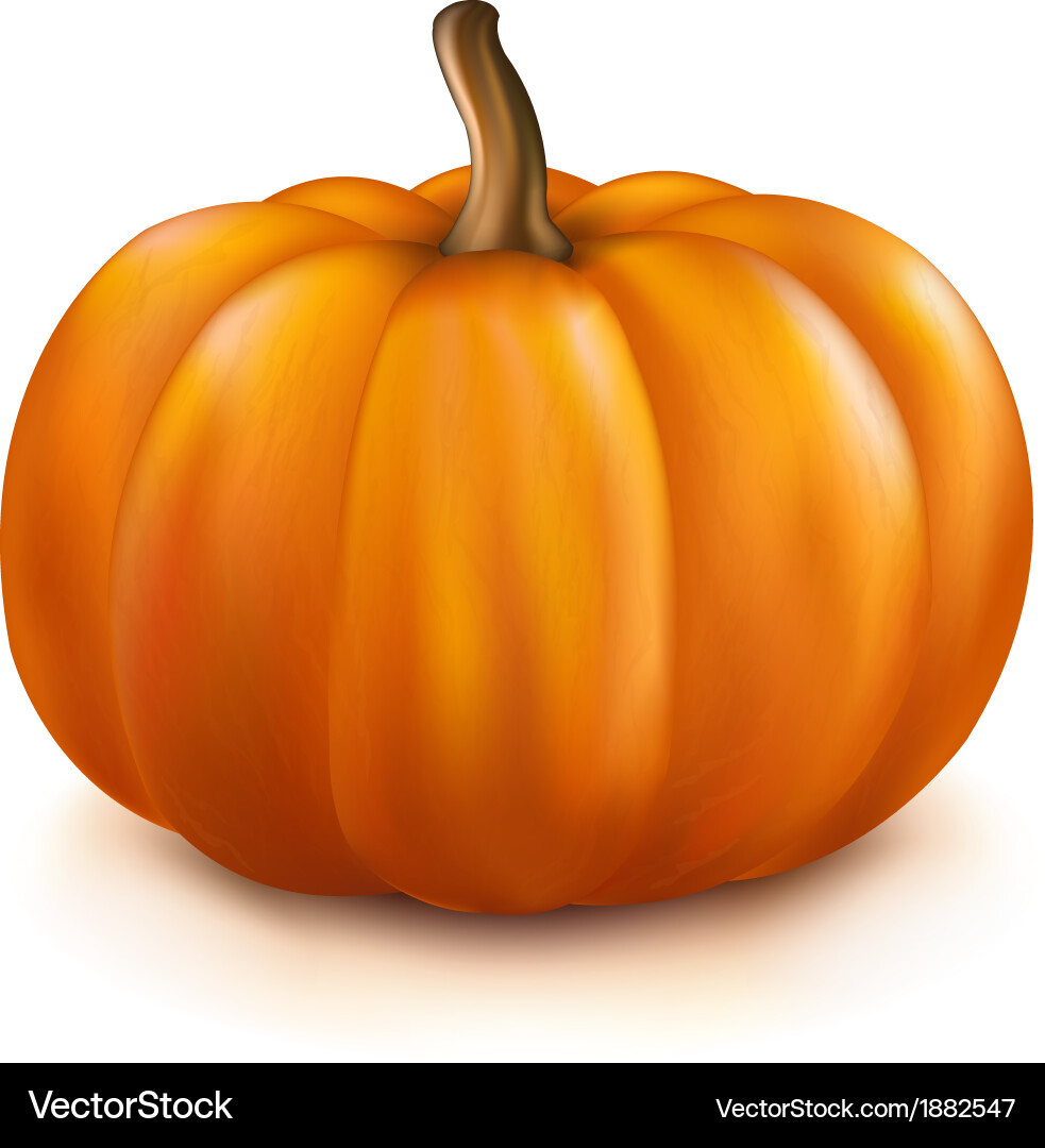 Pumpkin Royalty Free Vector Image - VectorStock