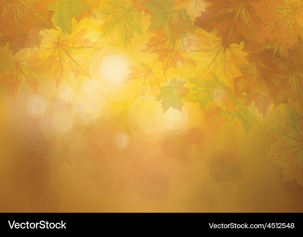Fall background Royalty Free Vector Image - VectorStock