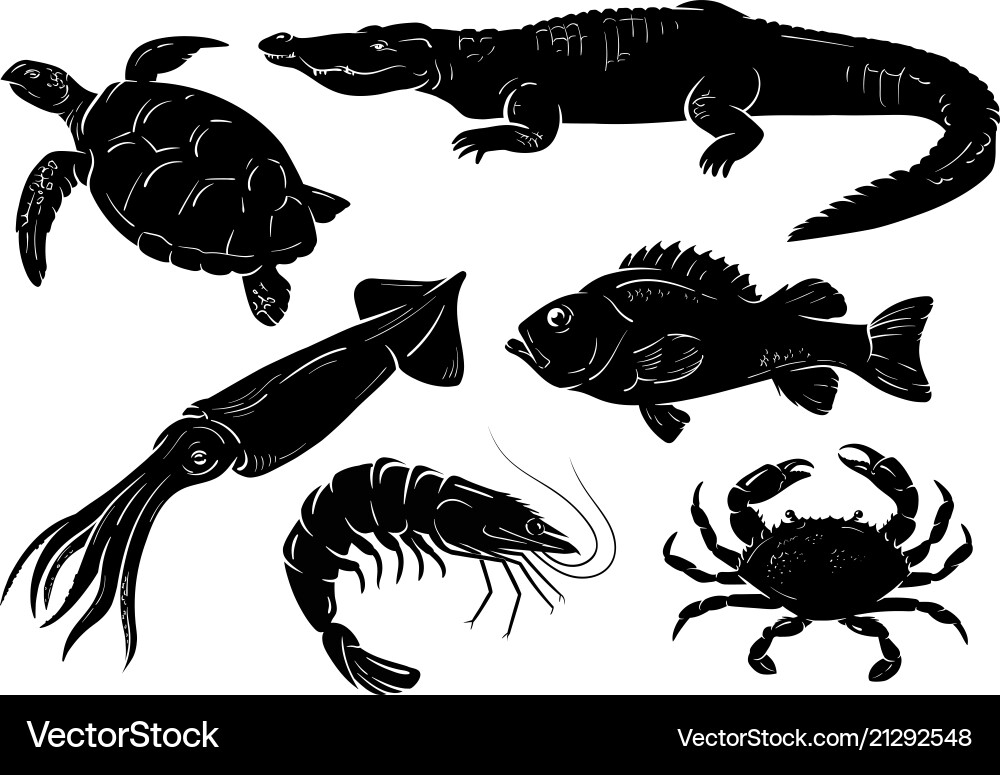 Sea animals set Royalty Free Vector Image - VectorStock