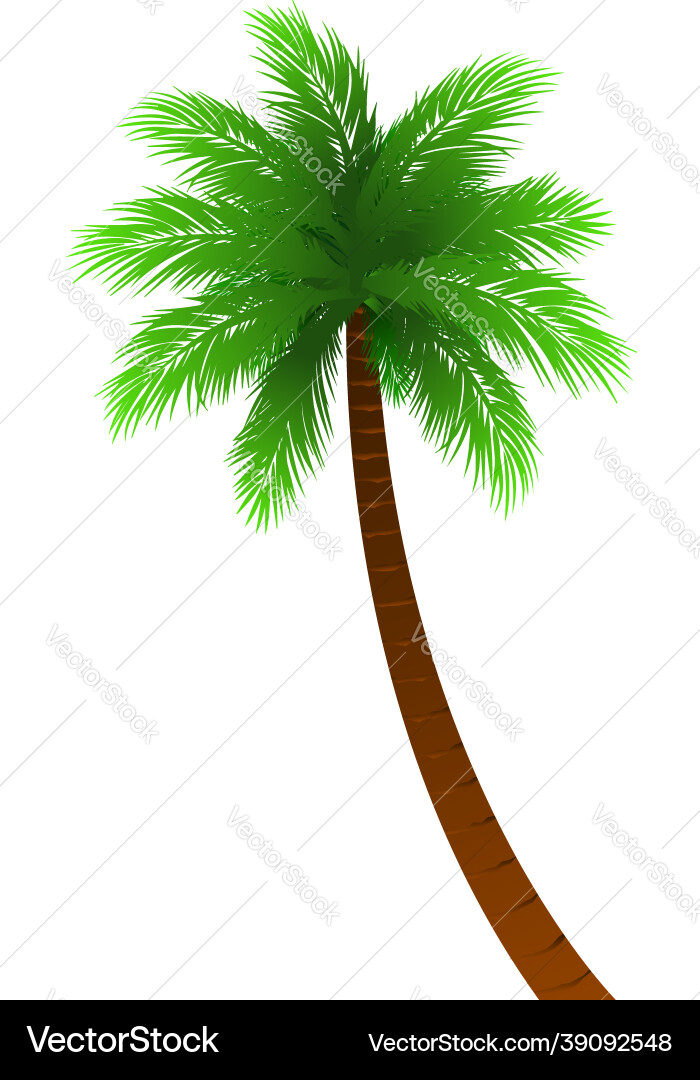Simple palm tree Royalty Free Vector Image - VectorStock