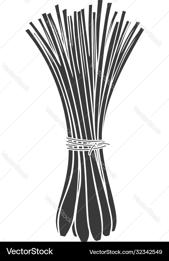 Lemongrass Glyph - Botanical Icon Royalty Free Vector Image