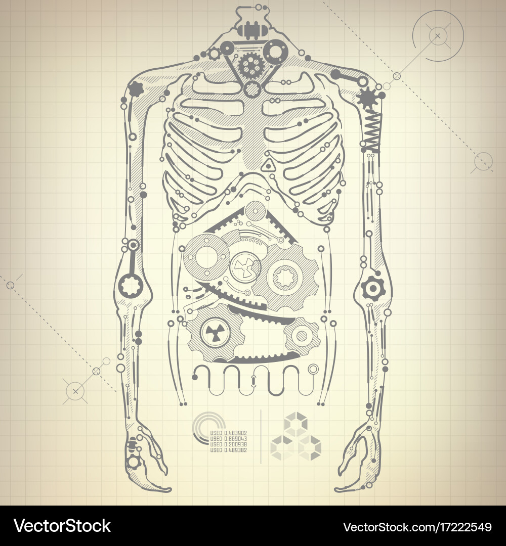 Robot Anatomy Diagram Royalty Free Vector Image