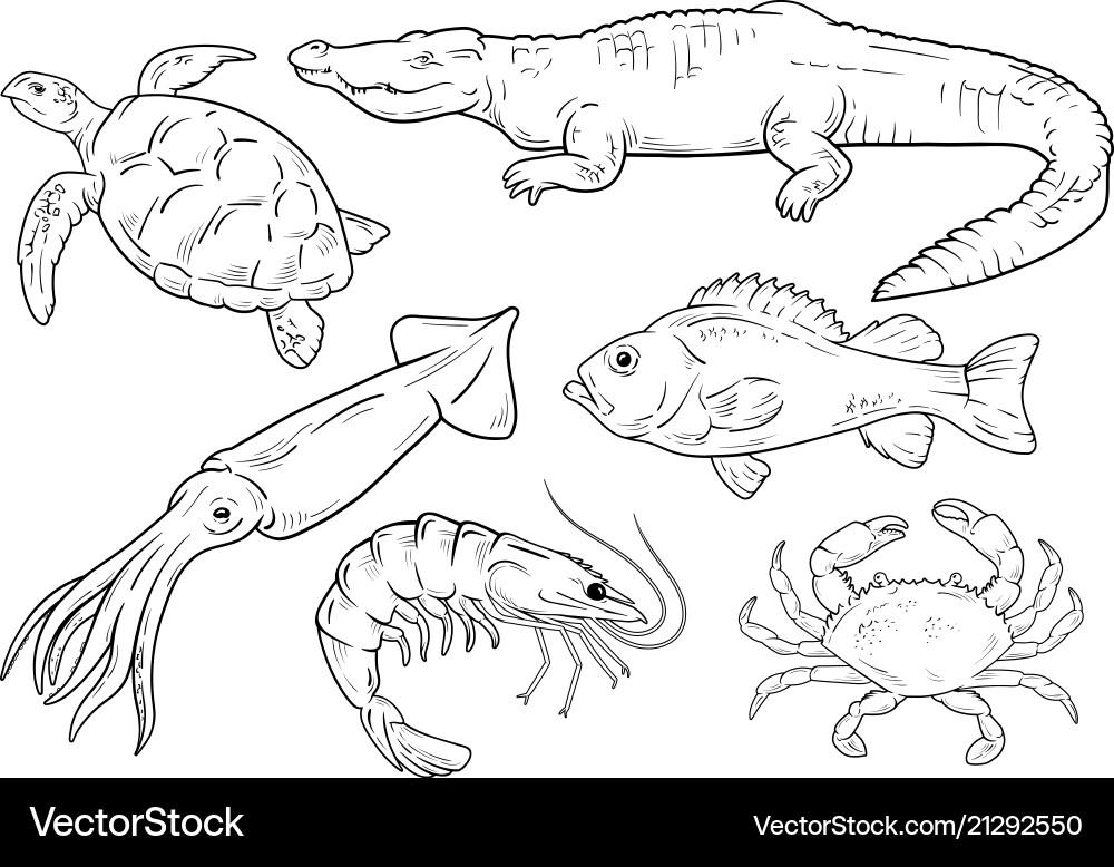 Sea animals line set Royalty Free Vector Image