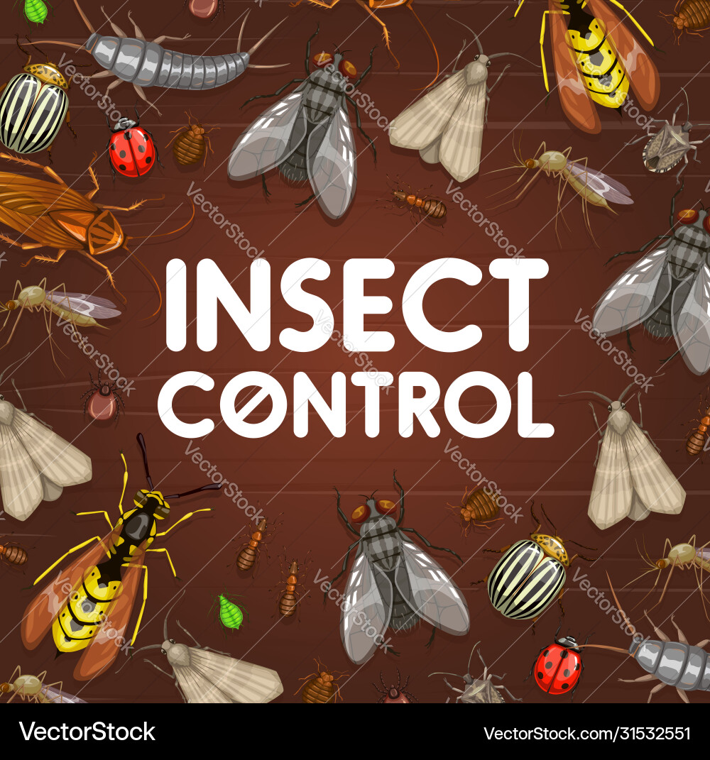 Pest control insect disinsection bugs and flies Vector Image