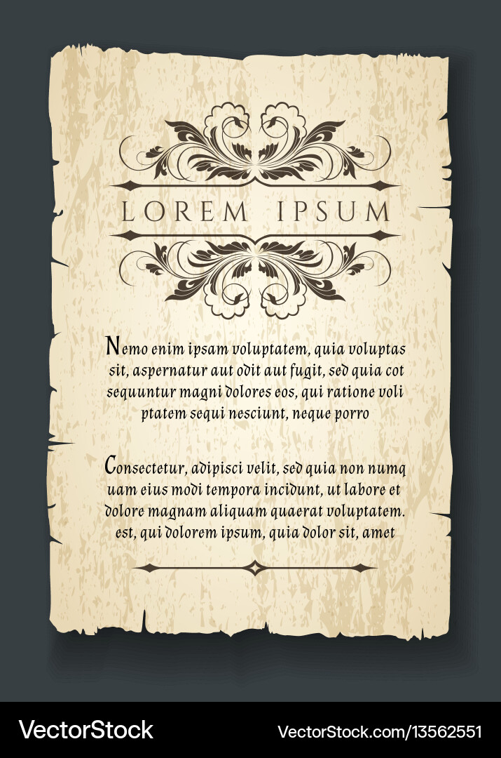 Retro design elements on old paper sheet Vector Image