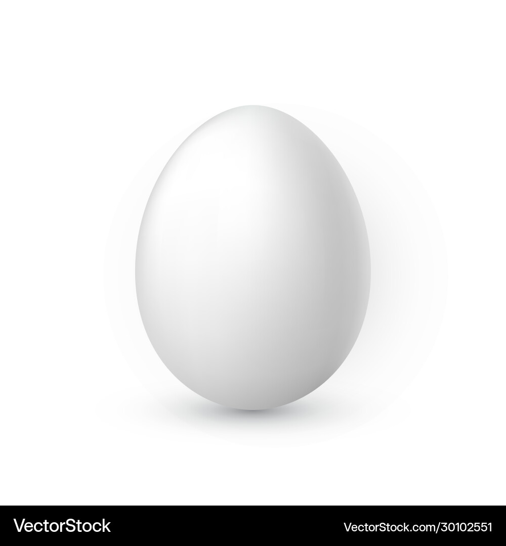 White egg on background design template Royalty Free Vector