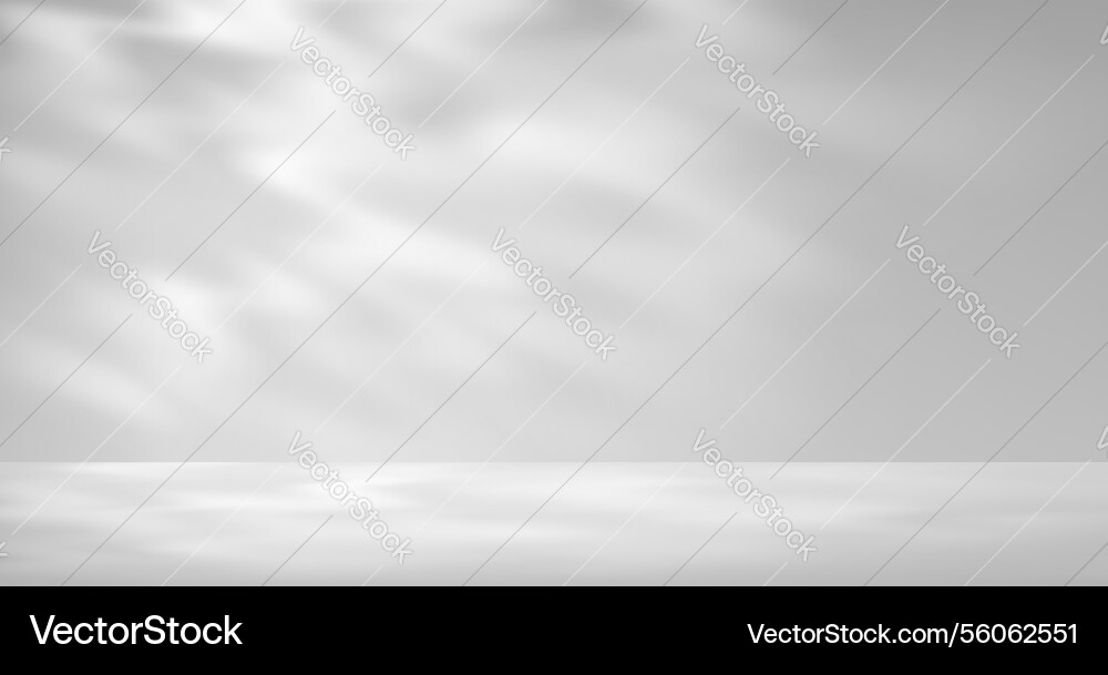 White empty room bg abstract studio limbo light Vector Image