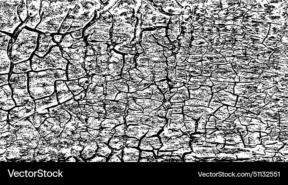 Worn black grunge texture Royalty Free Vector Image