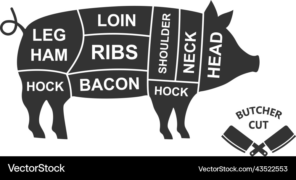 Pig Cuts & Butchery Diagram Royalty Free Vector Image