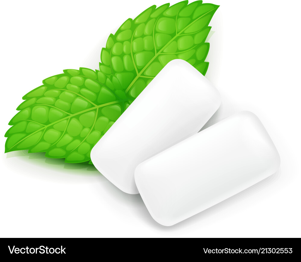 Two chewing gum and mint leaf Royalty Free Vector Image