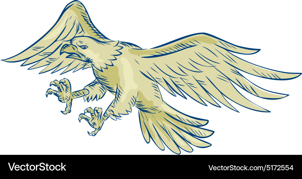 Flache Adler-Scheibenätzung Lizenzfreies Vektorbild
