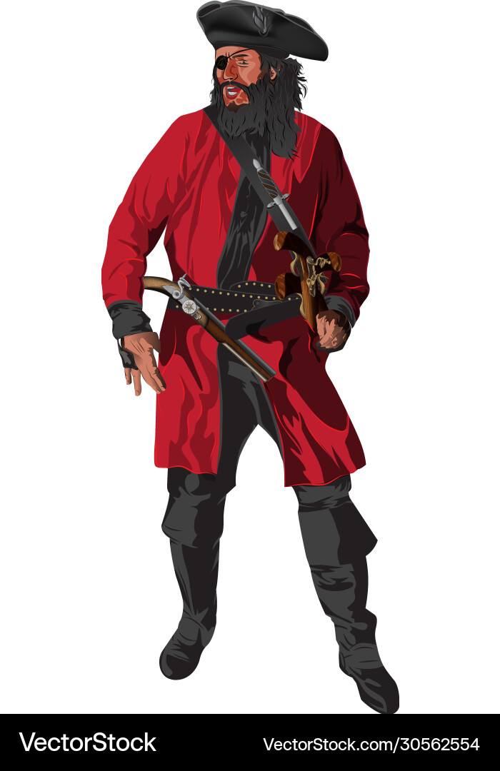 Pirate Royalty Free Vector Image - VectorStock