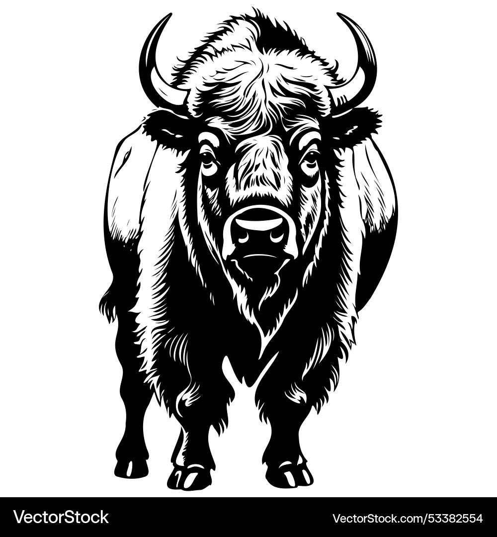 Realistic bison sitting drawing hand Royalty Free Vector