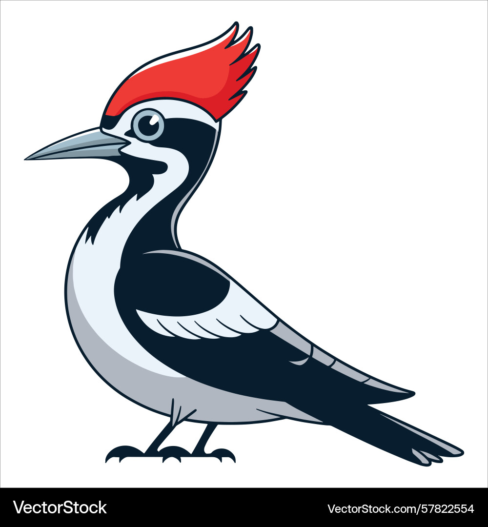 Woodpecker animal tree pecking bird for forest Vector Image