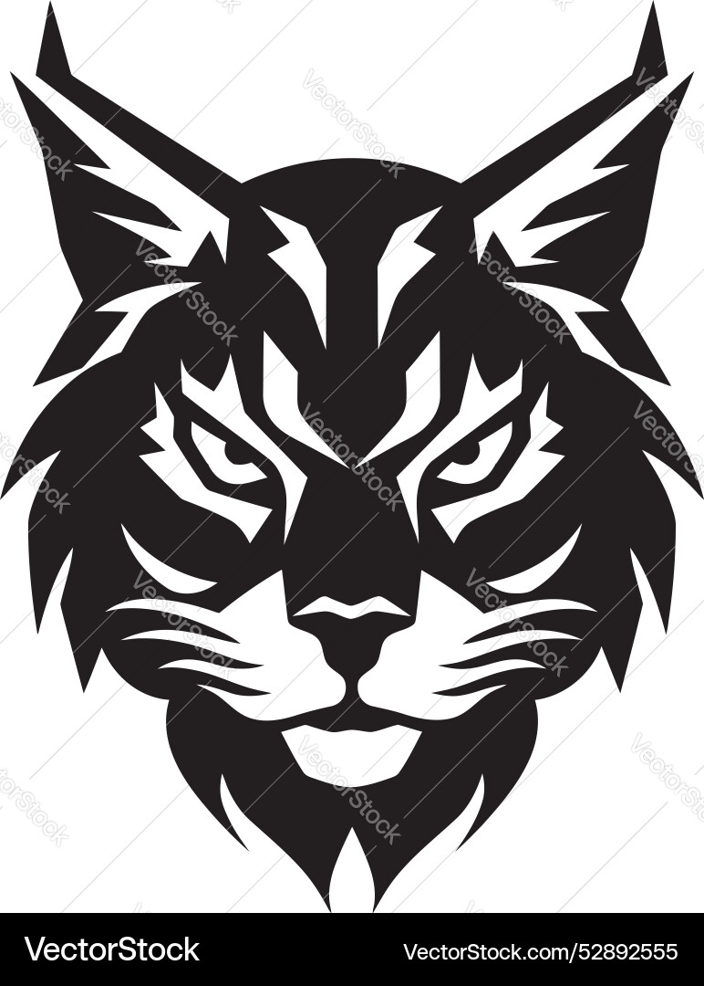 Bobcat a wild predator animal bobcat design a Vector Image