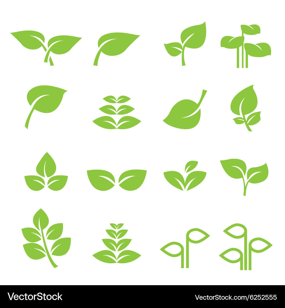 Leaf icon Royalty Free Vector Image - VectorStock