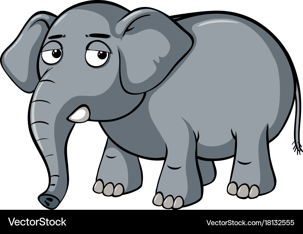 Sad elephant on white background Royalty Free Vector Image