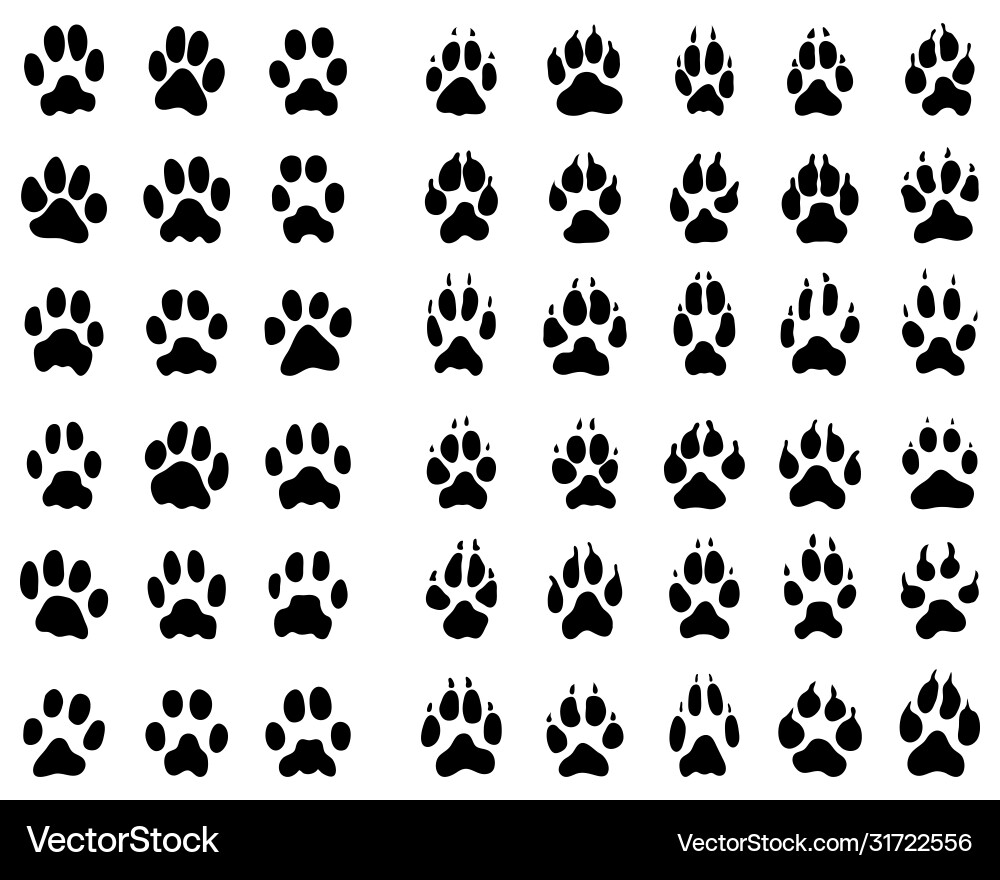 Dogs and cats paws Royalty Free Vector Image - VectorStock