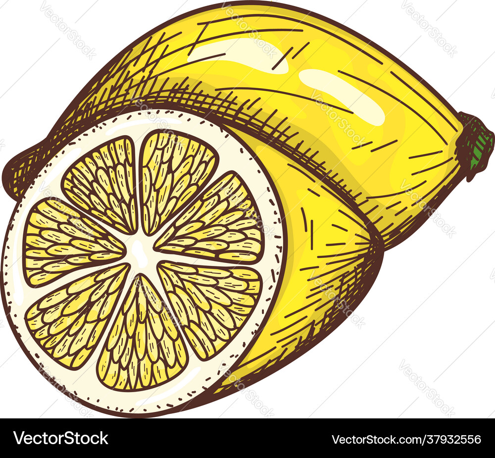 Icon lemon Royalty Free Vector Image - VectorStock