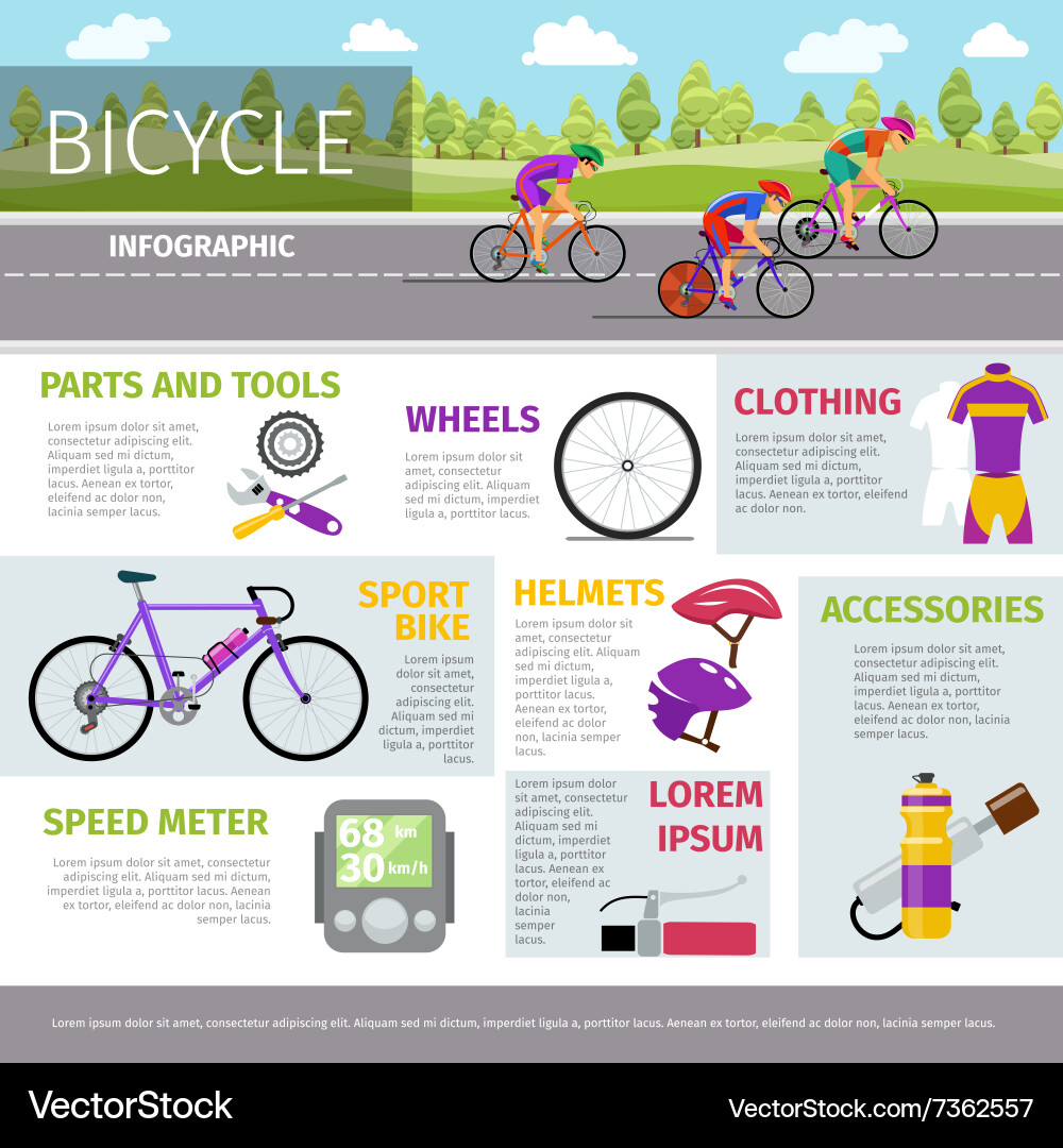 Bicycle Sport Infographic Template Royalty Free Vector Image
