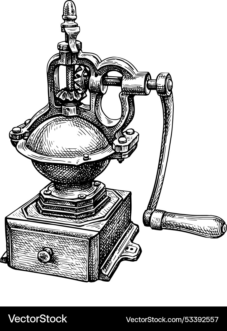 Vintage spice grinder ink sketch Royalty Free Vector Image