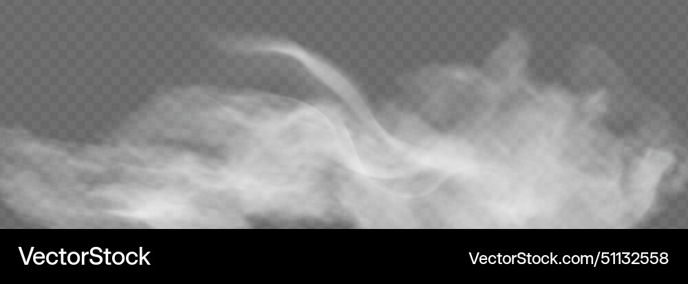 Transparent special effect stands out with fog Vector Image