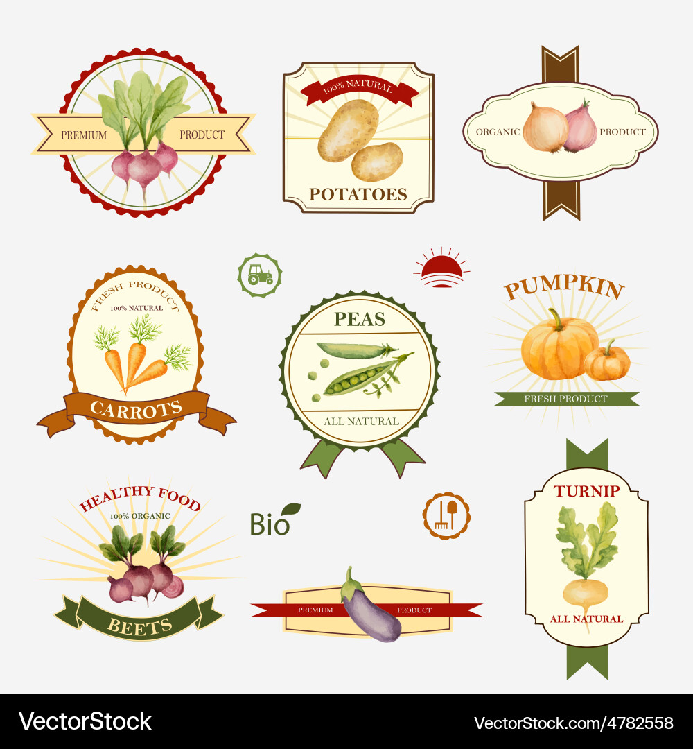 Vegetables set of label design Royalty Free Vector Image