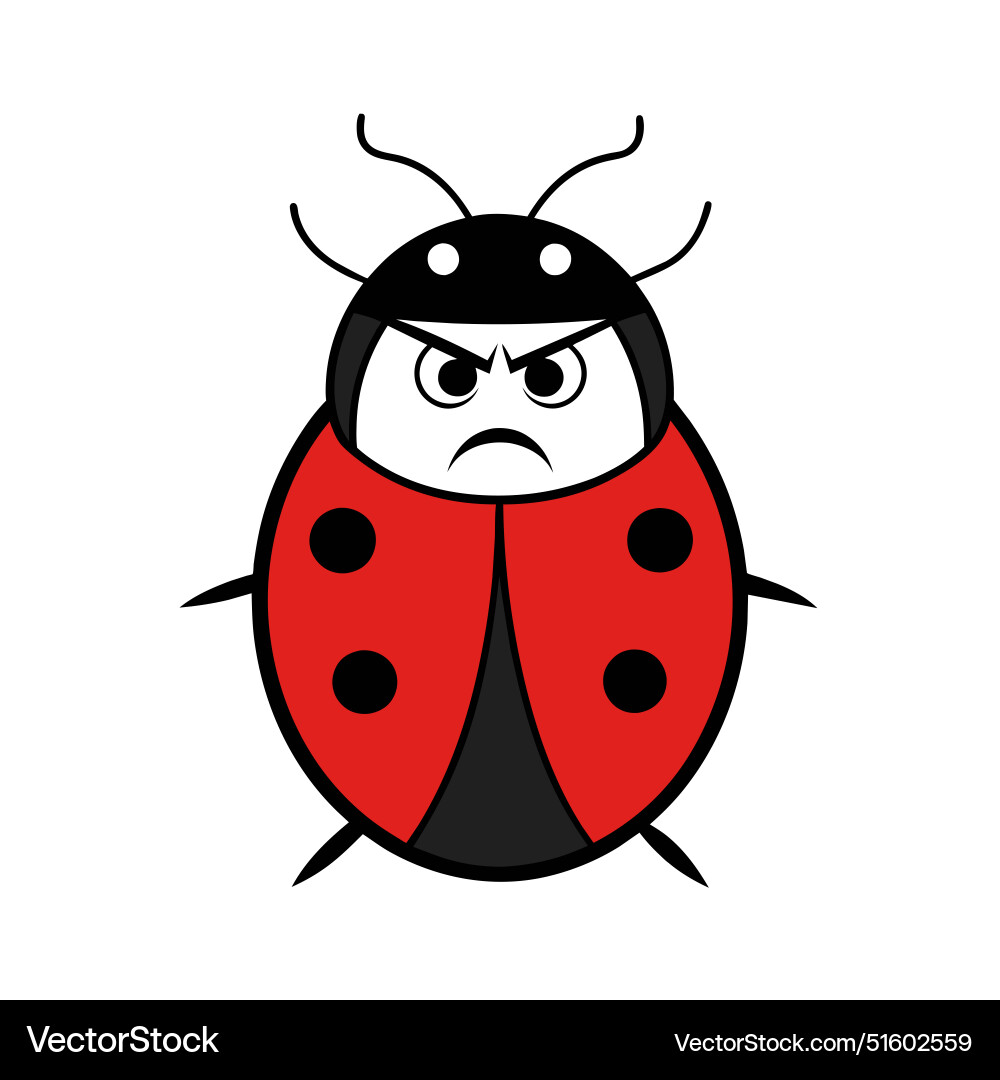 Asian lady beetle bug angry icon Royalty Free Vector Image