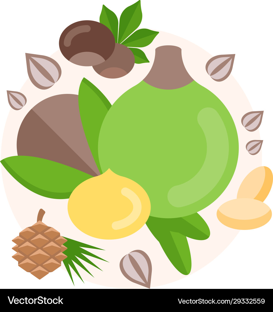 Nuts Royalty Free Vector Image - VectorStock
