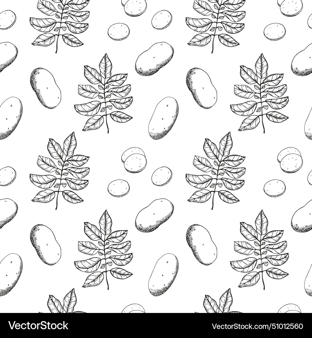 Potatoes seamless pattern Royalty Free Vector Image