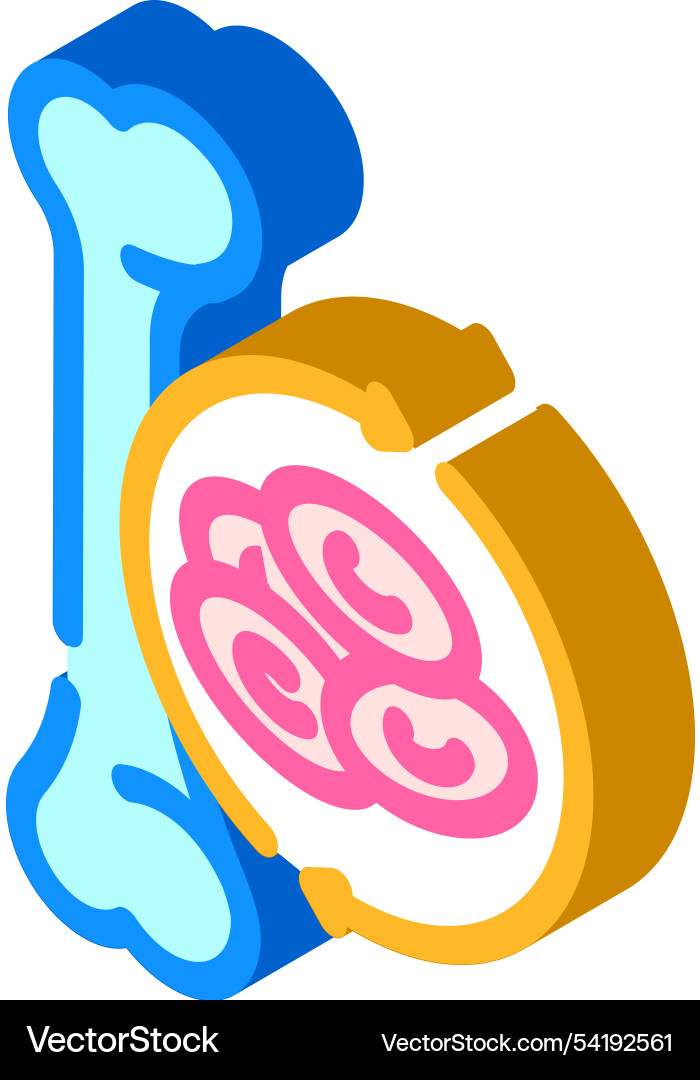 Bone marrow transplant cancer treatment isometric Vector Image