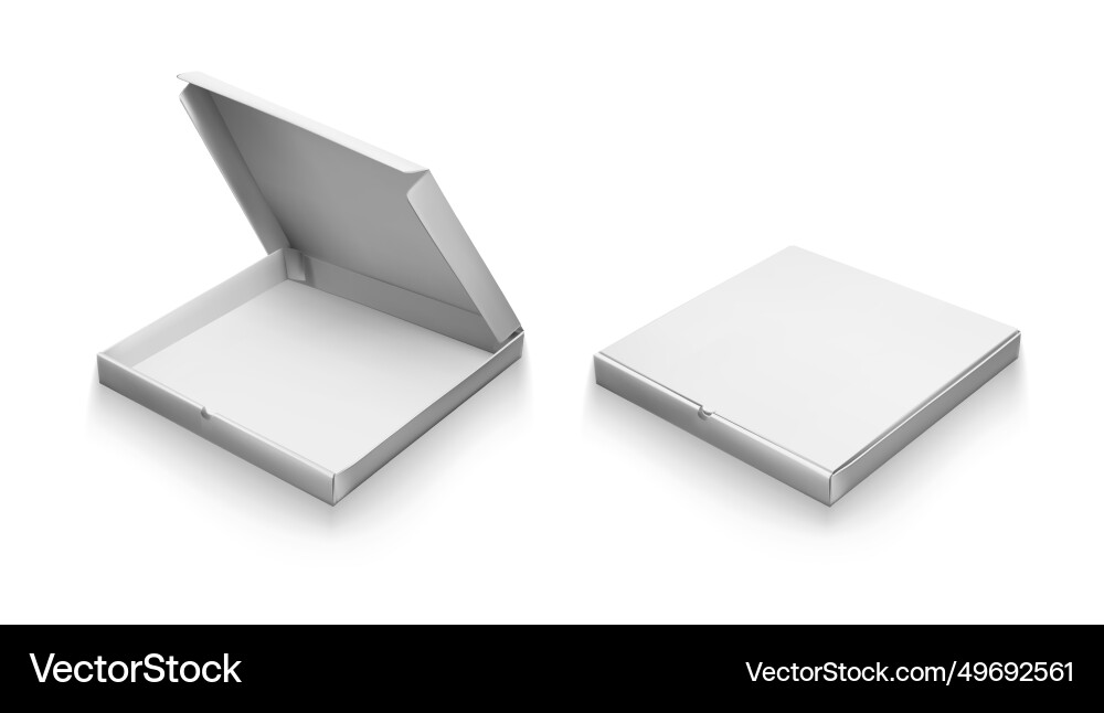 Cardboard empty clear pizza box for branding Vector Image